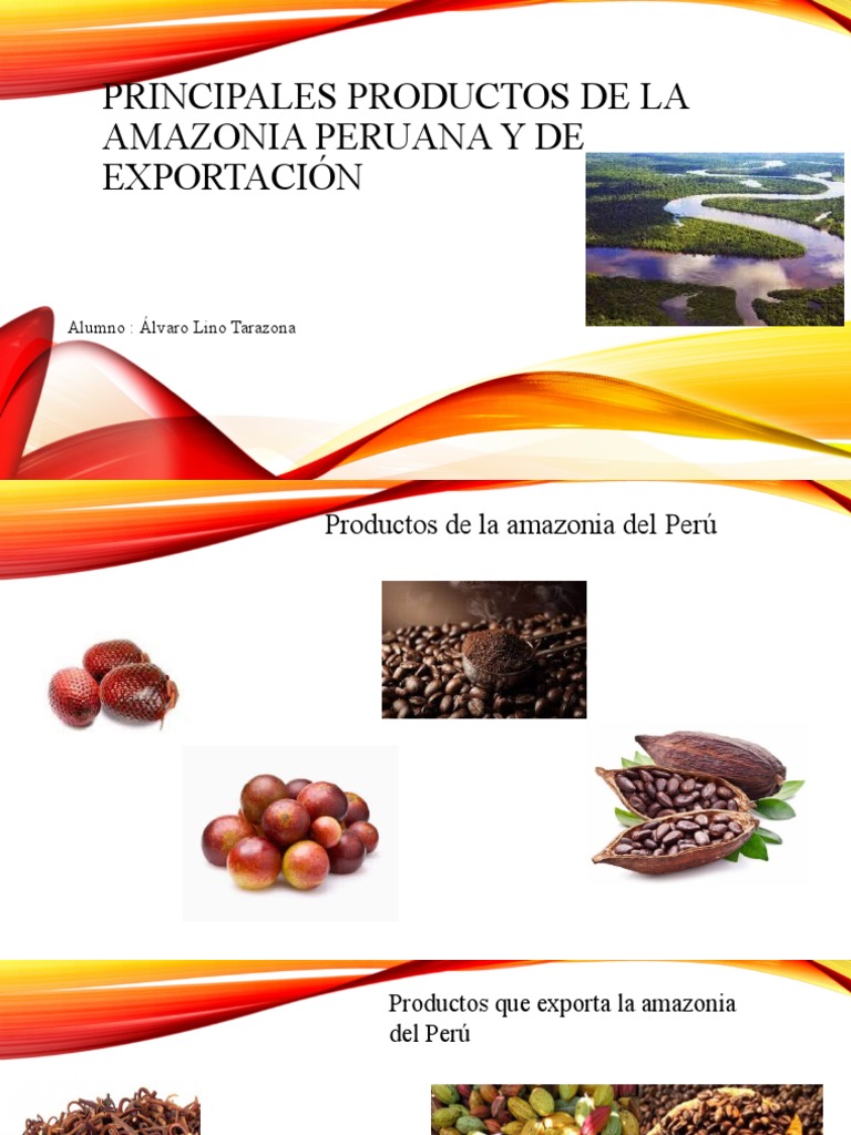 Principales Productos de La Amazonia Peruana y de | PDF