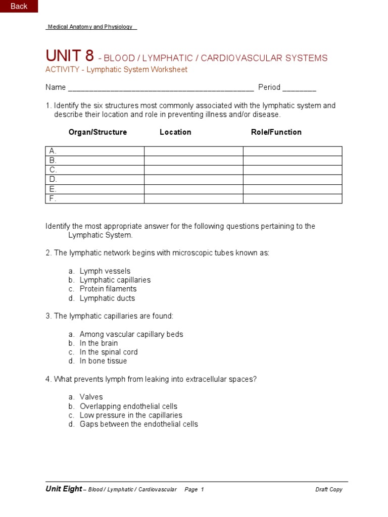 08Activity11LYMPHATICSYSTEMWORKSHEET.pdf | PDF | Lymphatic System | Lymph