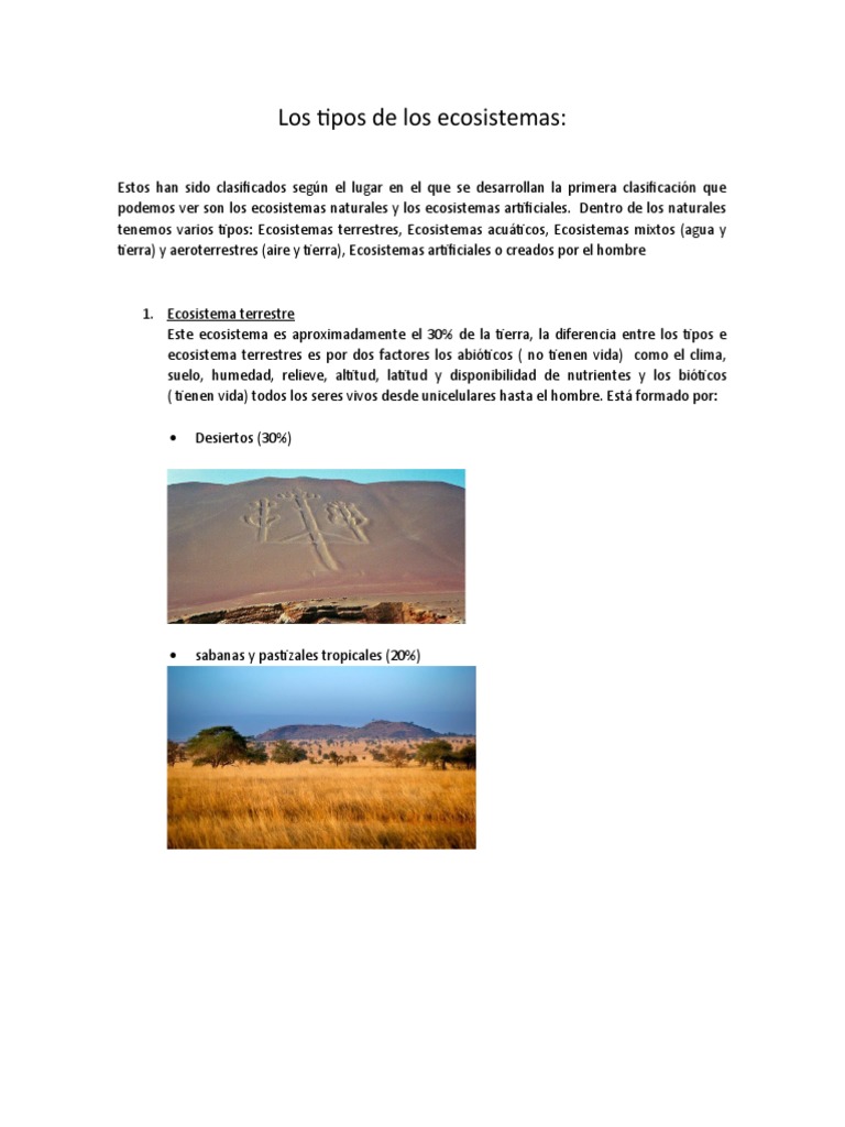 Los Tipos de Los Ecosistemas | PDF