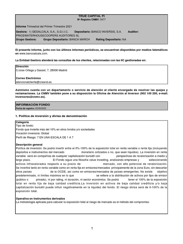 True Capital PDF | PDF | Portafolio (Finanzas) | Inversiones