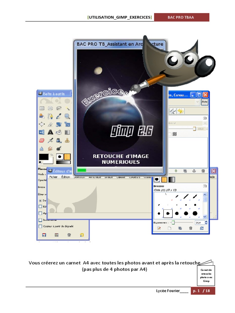 Exercices Pratiques sur GIMP | PDF | Gris | Filtre (optique)
