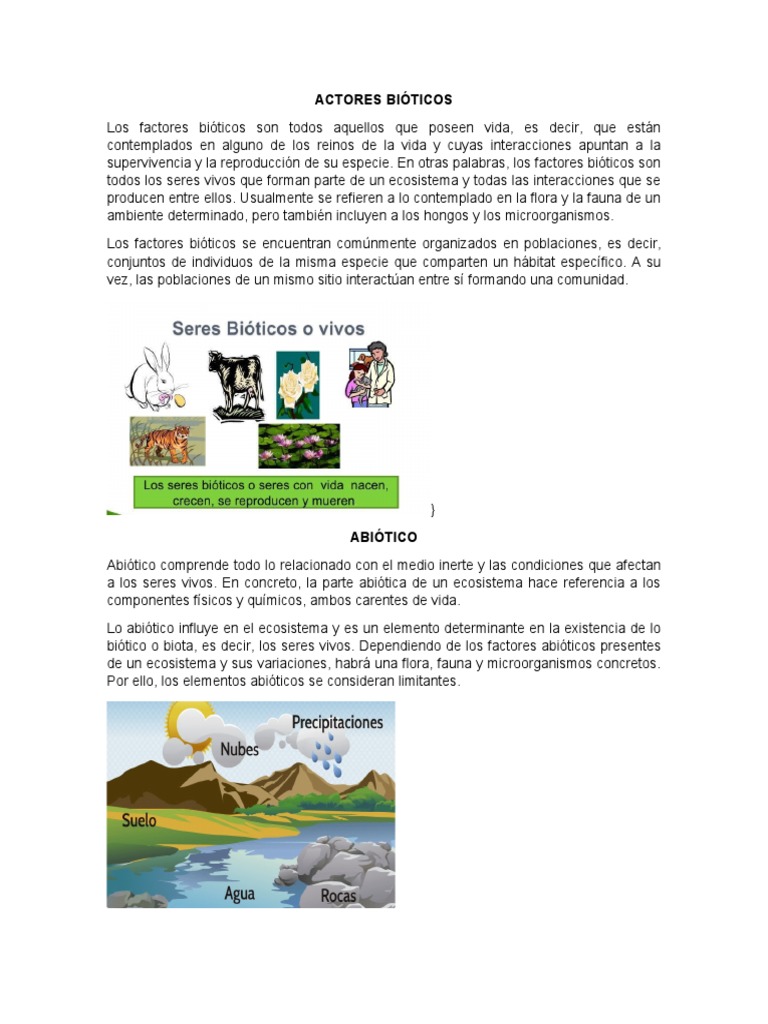 BIÓTICOS y Abioticos | PDF
