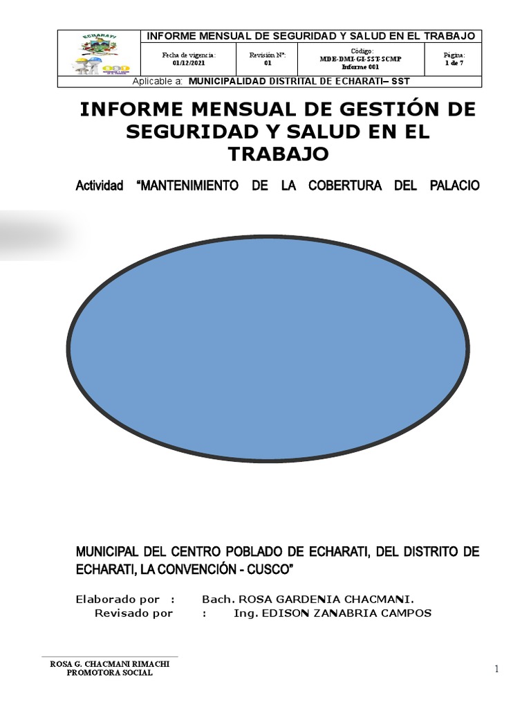 INFORME MENSUAL DE SEGURIDAD Y SALUD EN EL TRABAJO Dic Palacio | PDF | Salud pública