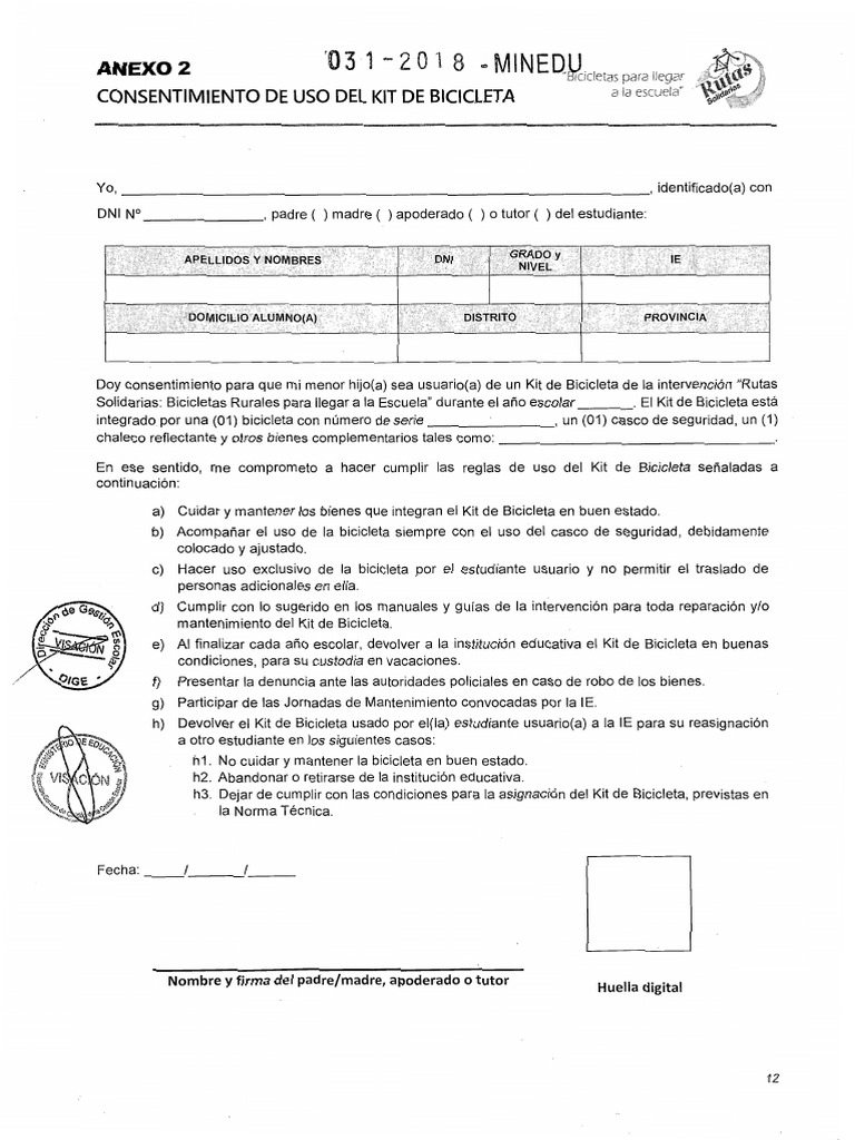 RM #031-2018-Minedu - Irs - Anexo 2 PDF | PDF