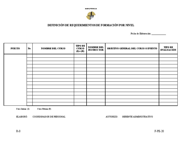 Definición de Requerimientos Formativos por Nivel | PDF