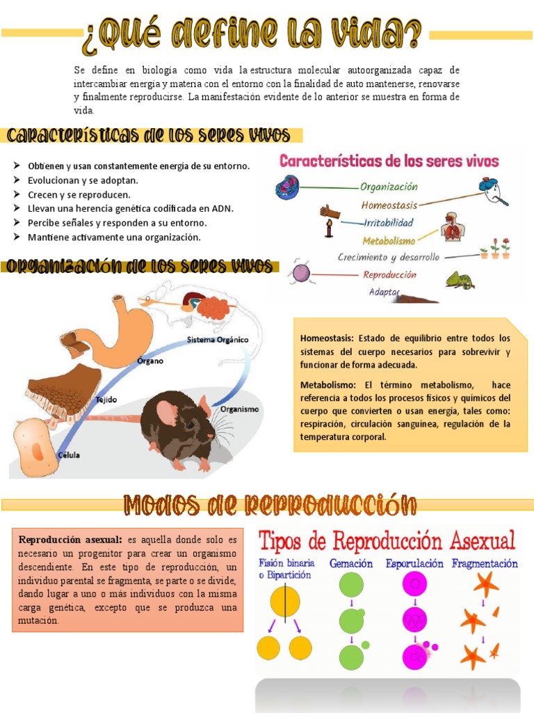 Definición de Vida PDF | PDF