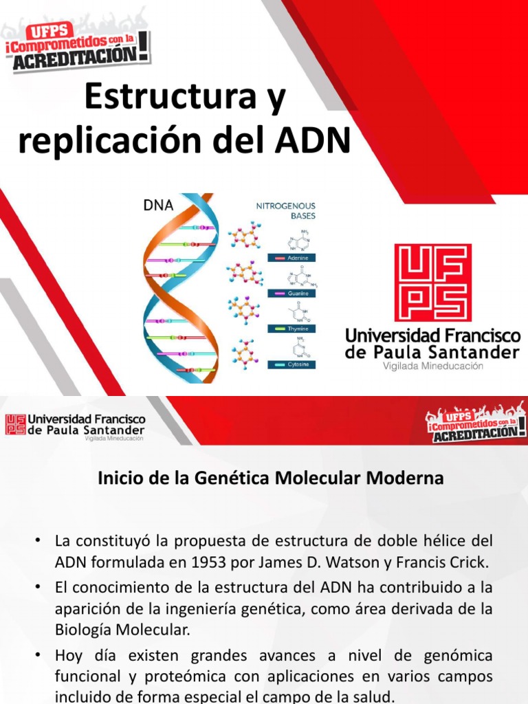 Estructura y Compactación del ADN | PDF