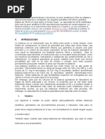 Prueba de Excentricidad en Balanzas | PDF | Química | Ciencias fisicas