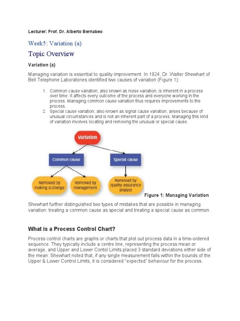 Understanding Common and Special Cause Variation Through Process ...