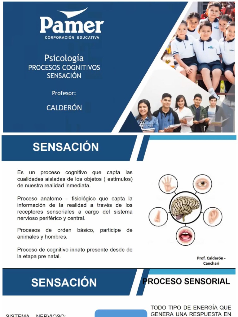 Semana 8 Percepcion PPT | PDF