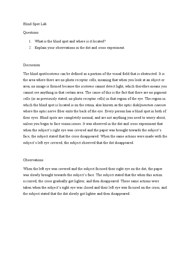 Blind Spot Lab | PDF | Science & Mathematics