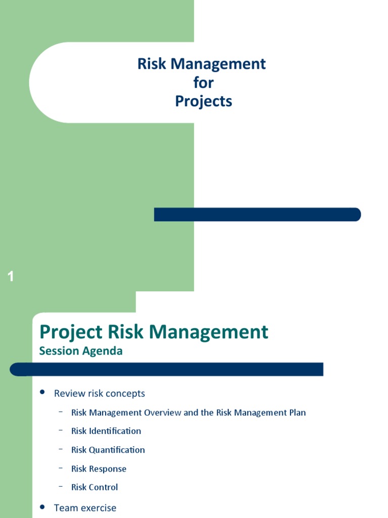 Project Risk Management Overview Guide | PDF | Risk Management | Risk