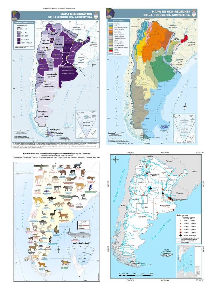 Tipos de Mapas | PDF