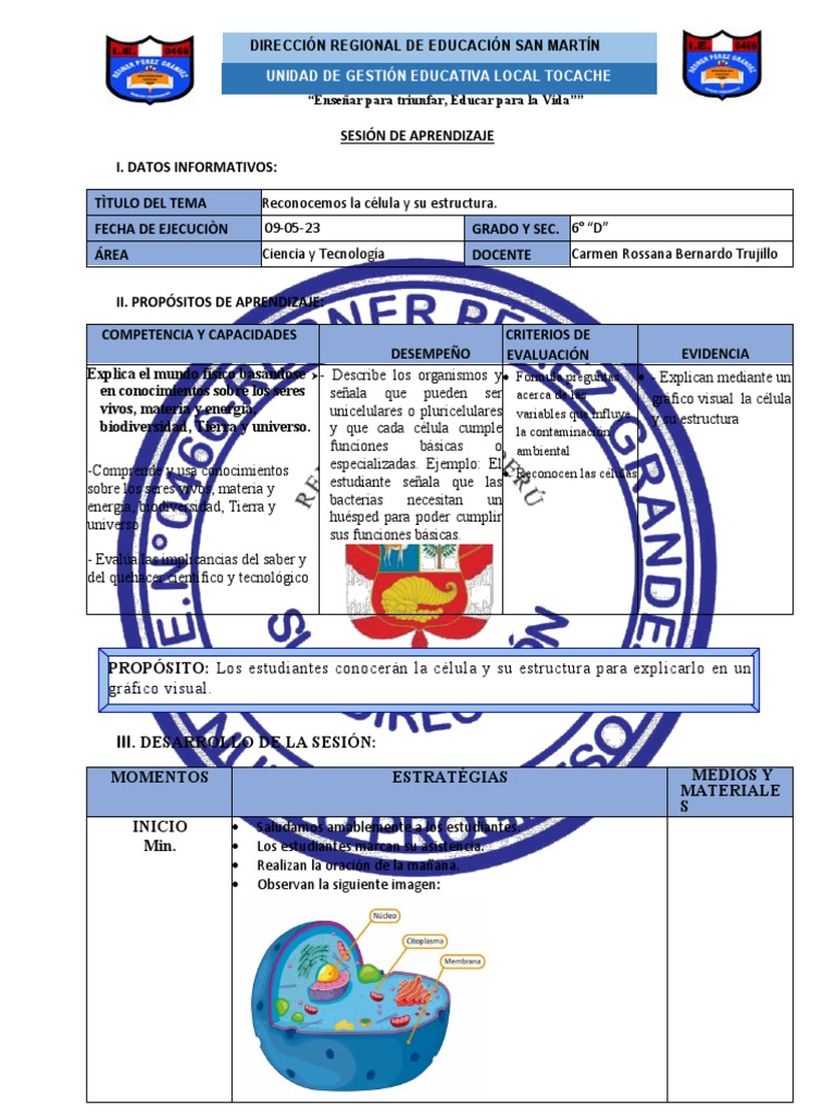 Sesion Cyt 09-05 | PDF | Ciencia y matemática