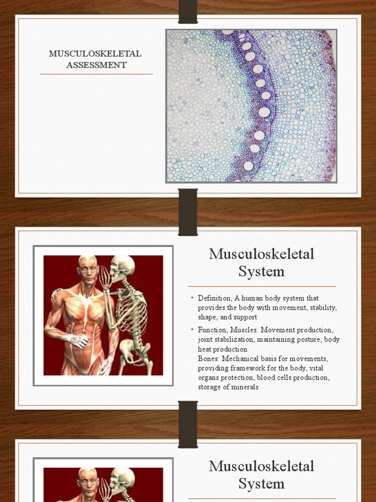 Musculoskeletal Assessment | PDF | Anatomical Terms Of Motion | Human ...