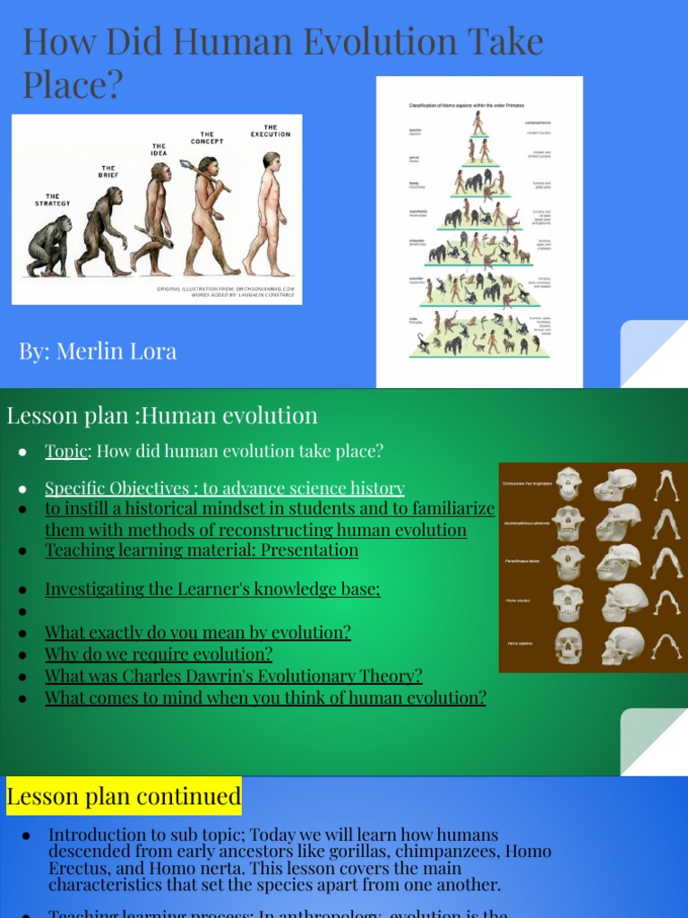 Understanding Human Evolution Stages | PDF | Homo | Human Evolution