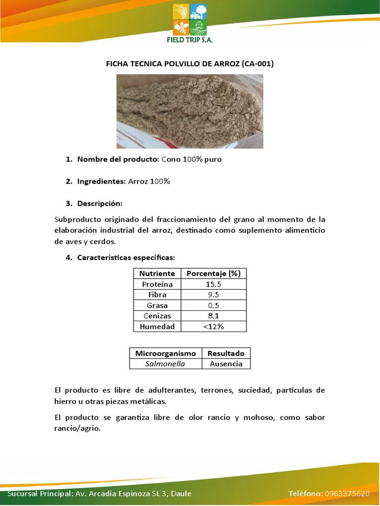 Ficha Tecnica Cono Puro | PDF