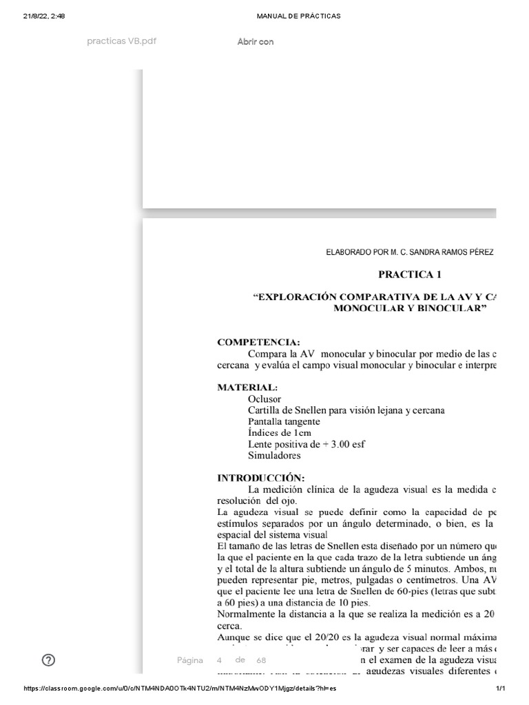 Manual de Prácticas | PDF | Percepción visual | Ciencia cognitiva