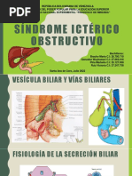 Signos Radiológicos de Obstrucción Intestinal | PDF | Tracto ...