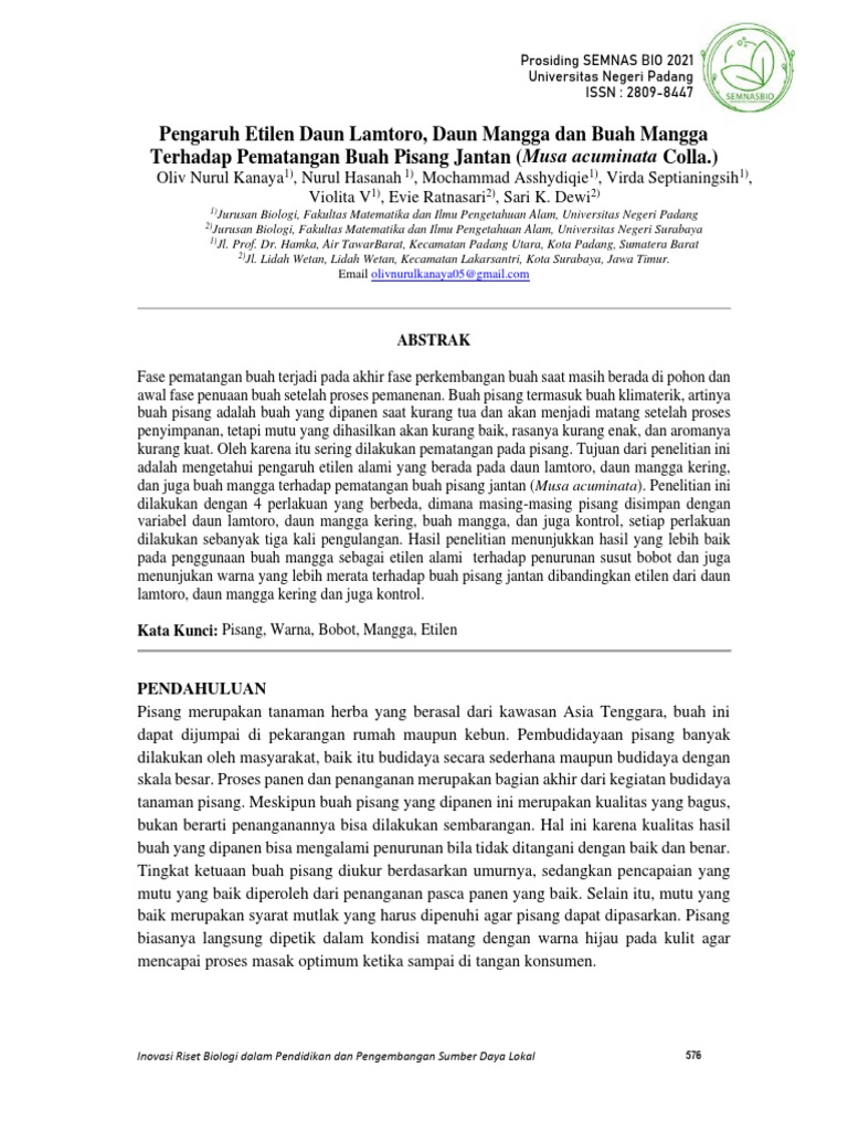 FULLPAPER - SMN0272 - Oliv Nurul Kanaya - Oliv Nurul Kanaya | PDF | Kesehatan Holistik