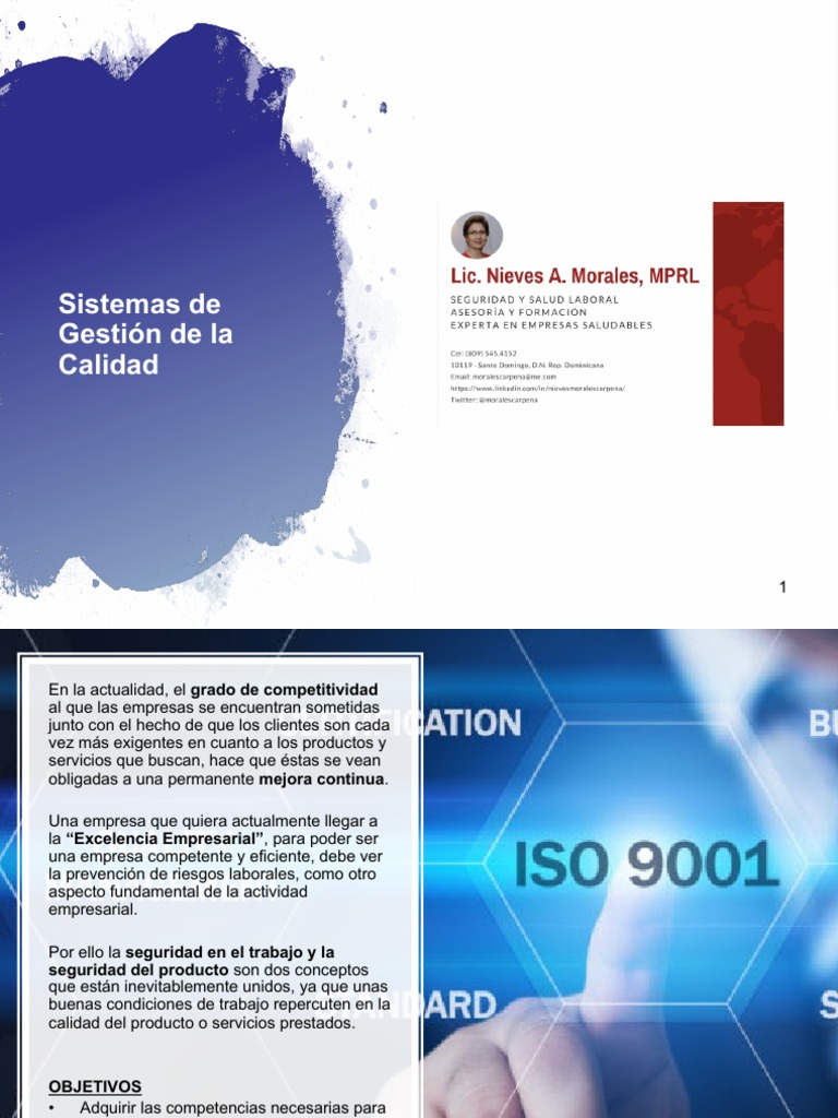Iso 9001 | Descargar gratis PDF | Gestión de la calidad | Calidad ...