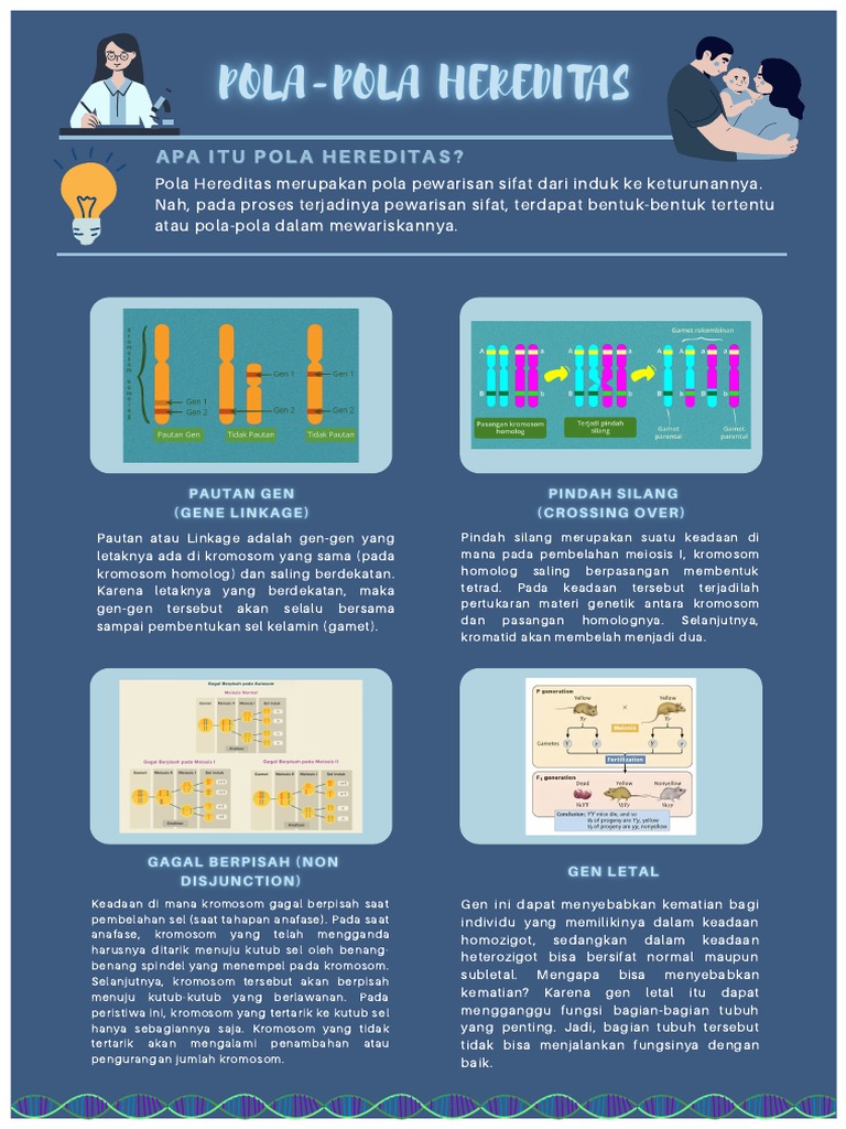 07 - Chantalaurel Lexia - Poster Pola Hereditas | PDF