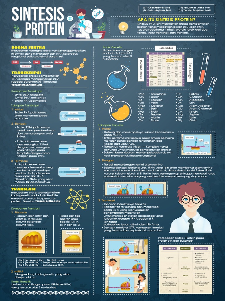 Poster Sintesis Protein PDF | PDF
