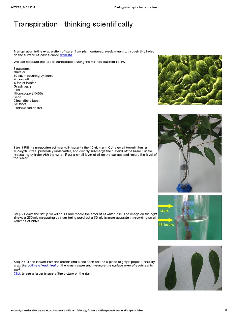 Transpiration Experiment - Stomata Count | Download Free PDF | Stoma | Leaf