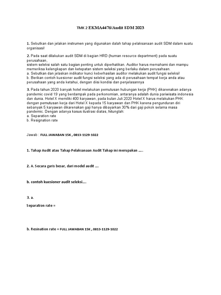 TMK 2 EKMA4476 Audit SDM 2023 | PDF