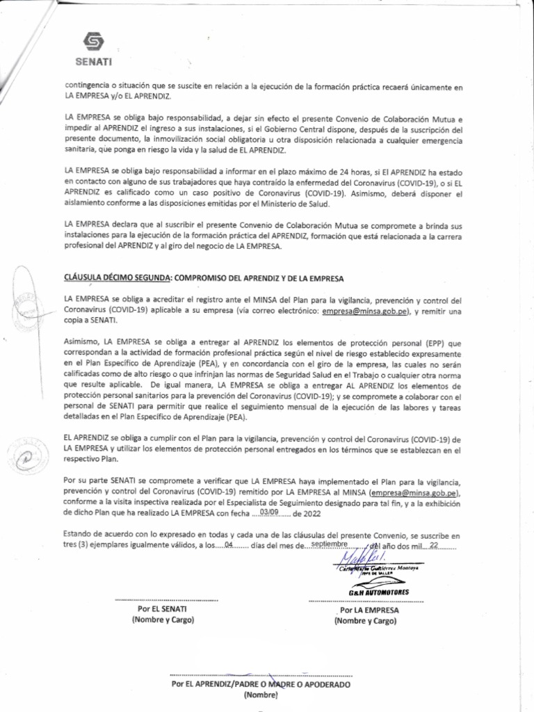 Anexo 1 | PDF
