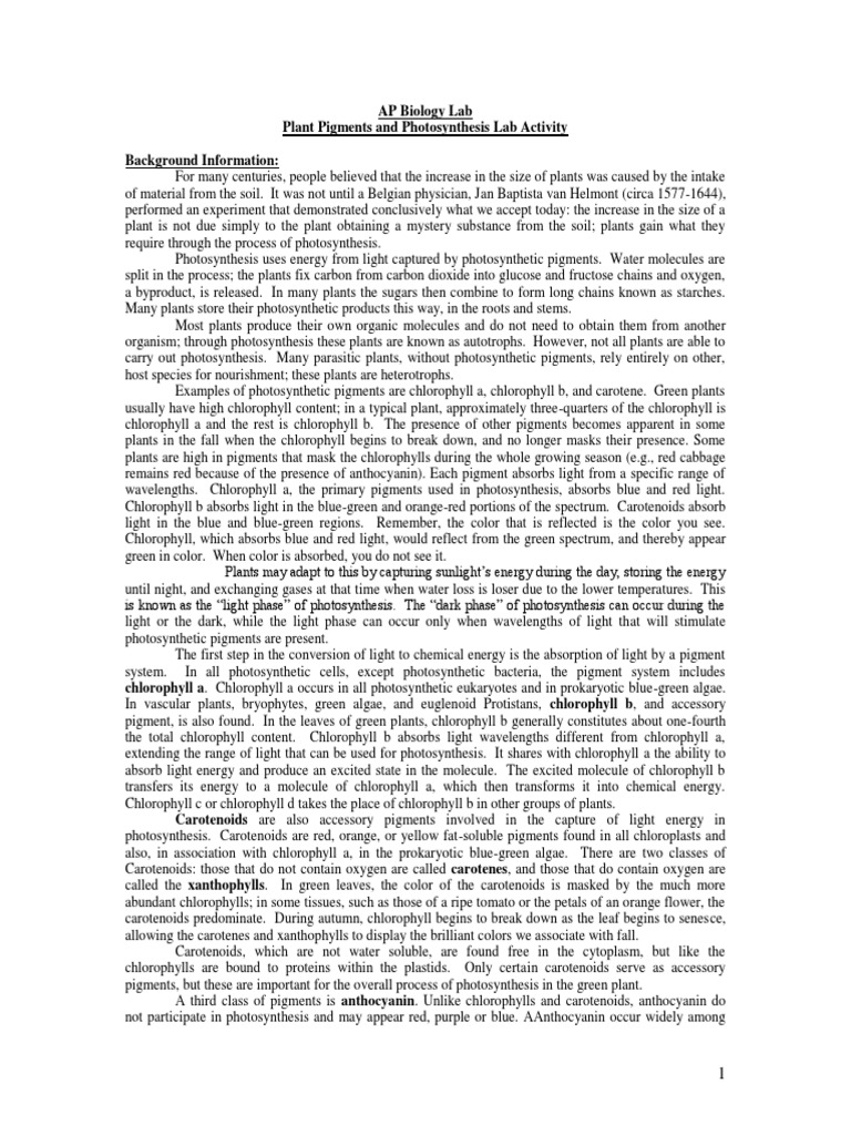Lab 4 Photosynthesis and Plant Pigments | PDF | Photosynthesis | Carotenoid