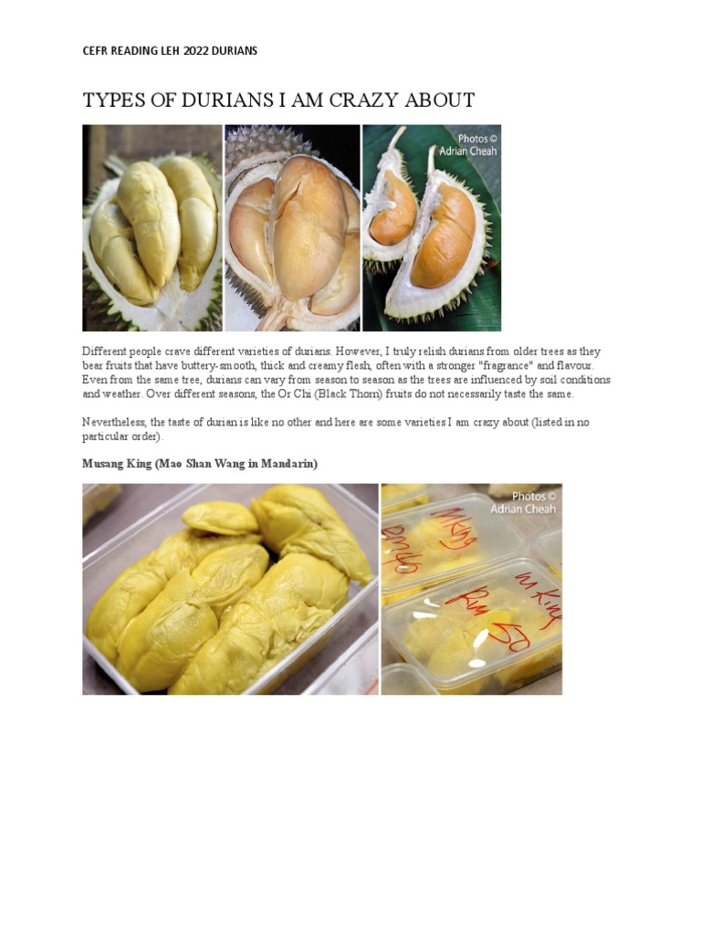 Types of Durians I Am Crazy About | PDF | Taste | Foods