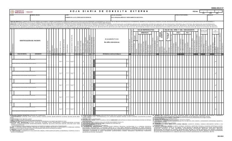Hoja Diaria Inba-Sis-01-P 2023 | PDF | Ciencias de la Salud | Cuidado ...
