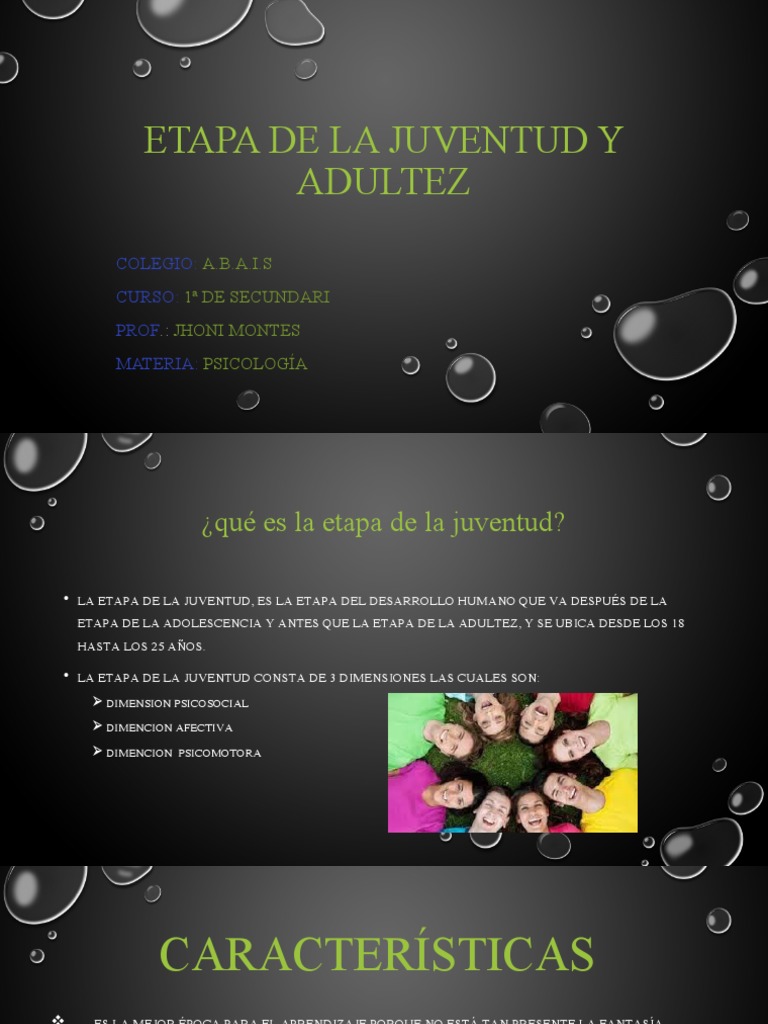 Etapas de La Juventud y Adultez | PDF