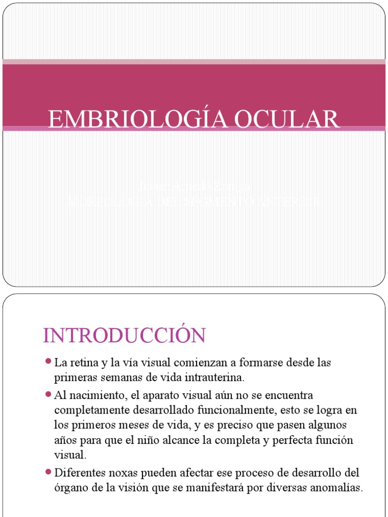 Embriología del Desarrollo Ocular | PDF | Ojo humano | Retina