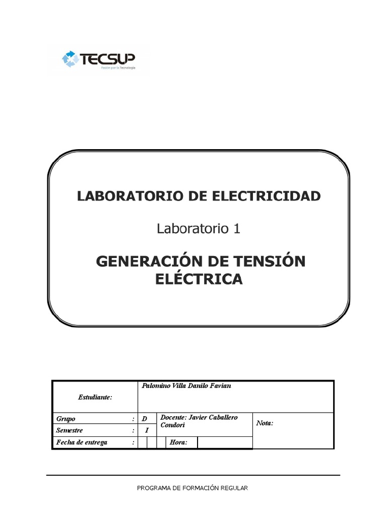 LAB 1 - Generación de Tensión Eléctrica Danilo Palomino Villa | PDF ...