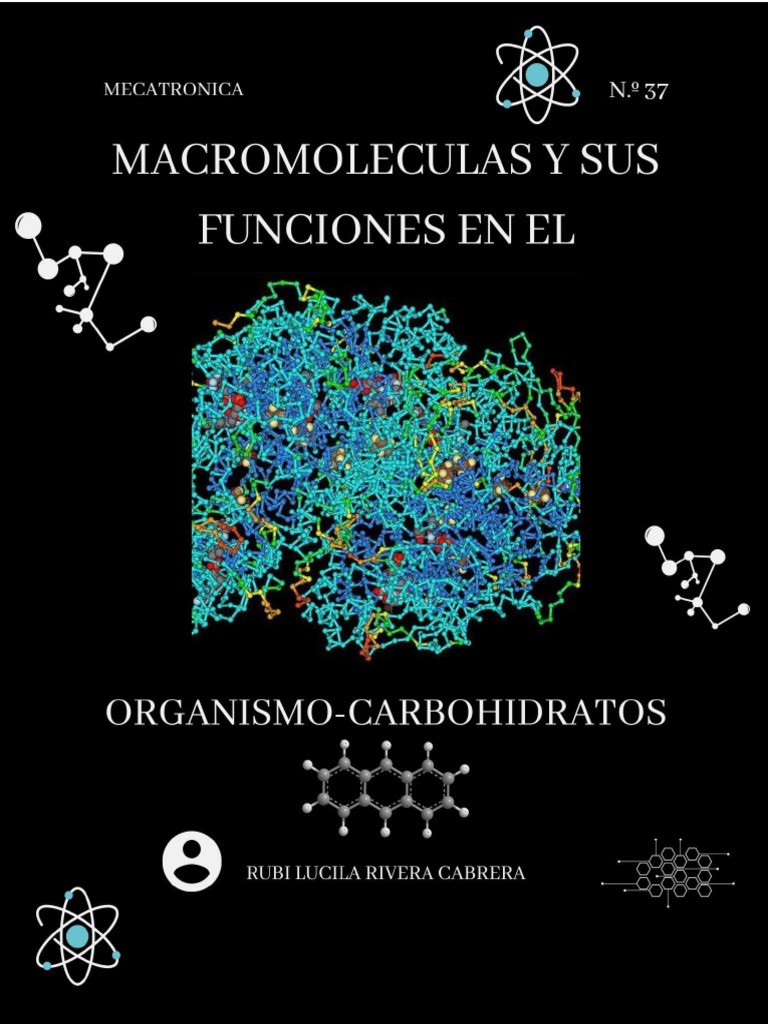 R.Macromoléculas-carbohidratos en Tu Organismo | PDF | Carbohidratos | Macromoléculas