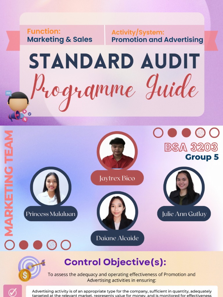 Standard Audit Programme Guide | PDF