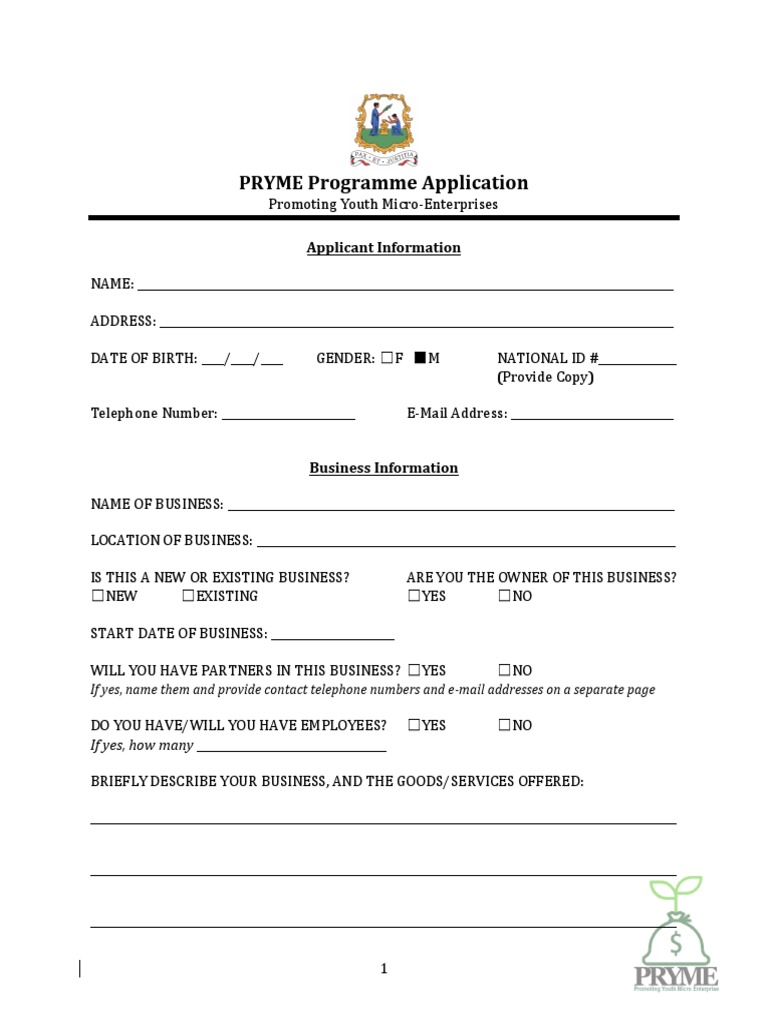 Pyme Application Form | PDF | Economies | Business