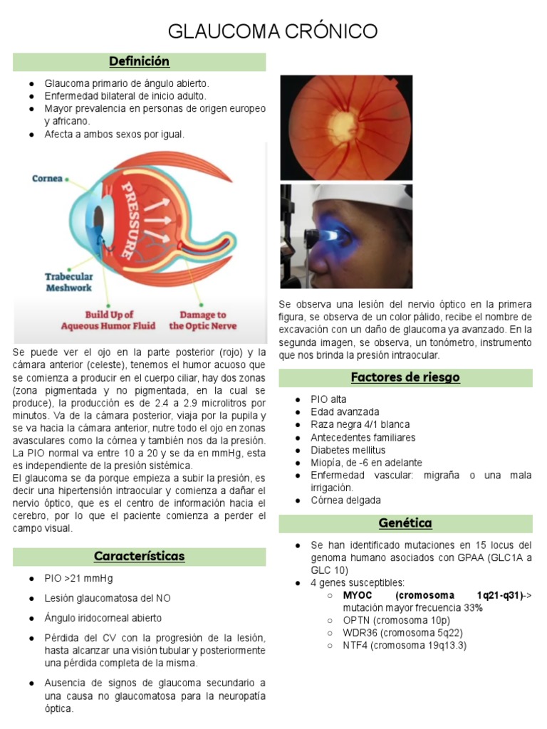 Glaucoma Crónico: Diagnóstico y Tratamiento | PDF | Glaucoma | Sistema visual