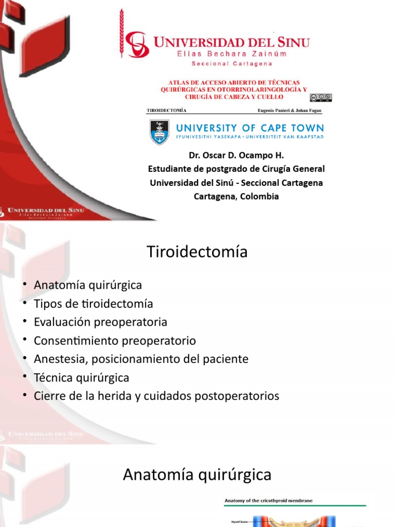 Tiroidectomía: una descripción detallada de la anatomía quirúrgica ...