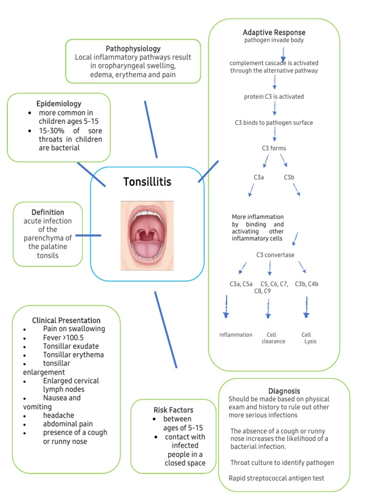 Mind Map Tonsillitis | PDF | Epidemiology | Medical Specialties