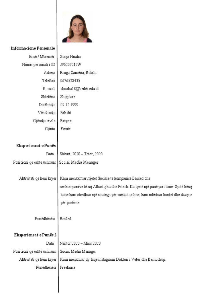 CV Dhe Leter Motivimi | PDF