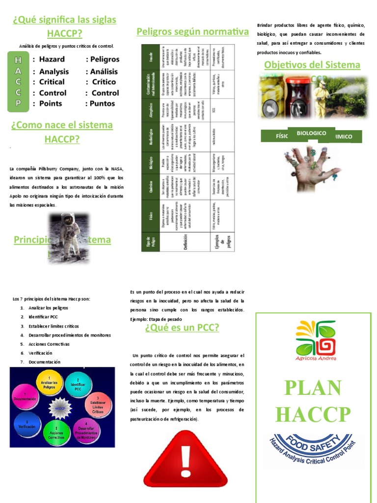 Triptico Plan Haccp | PDF | Análisis de Riesgo y Puntos Críticos de Control
