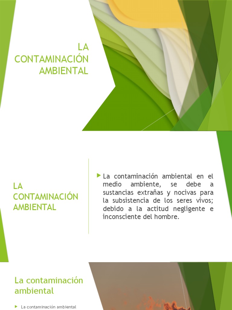 La Contaminación Ambiental | PDF