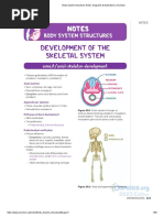 Female Reproductive System Notes - Diagrams & Illustrations - Osmosis ...
