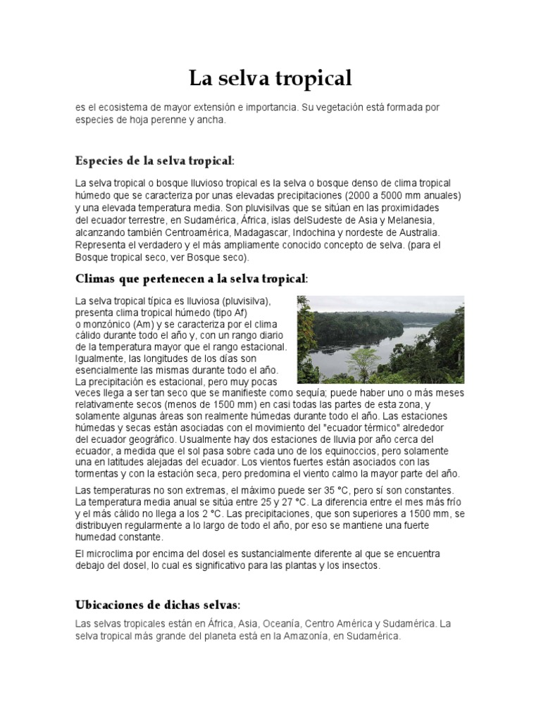 La Selva Tropical Proyecto | PDF | Zona tropical | Clima