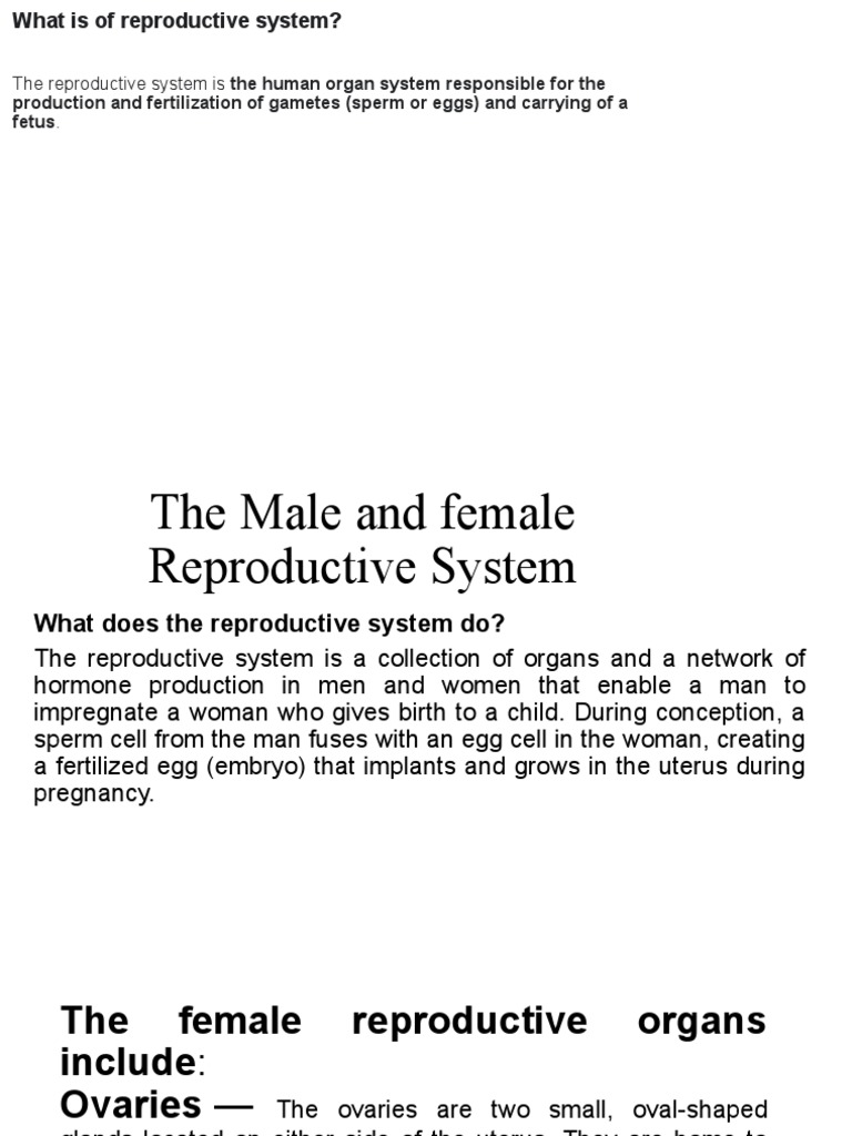 Reproductive System | PDF | Reproductive System | Uterus