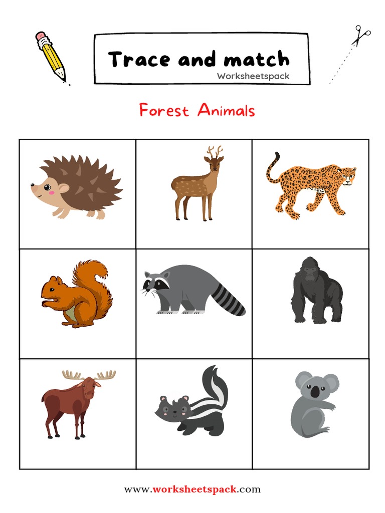 Forest Animals Worksheet For Kindergarten PDF | PDF