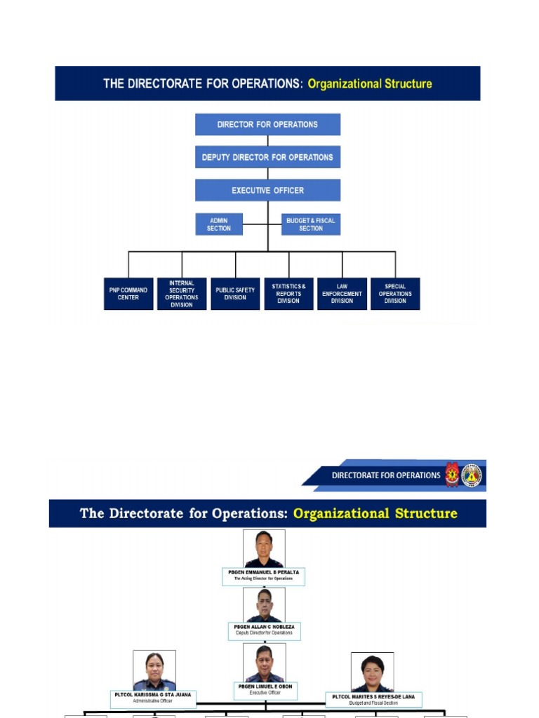 PNPDO | PDF